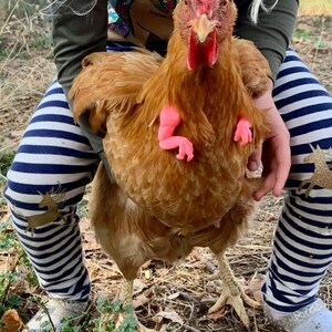 3D Printed Chicken Arms Velociraptor T-rex Dinosaur Arms - Etsy