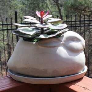 Faux Ginger 3 Colors Ginger Flower Tropical Decor Tropical | Etsy