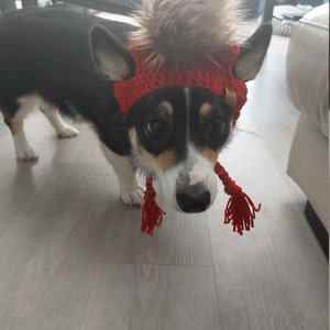 Corgi Beanie Dog Beanie Corgi Hats Dog Hat Dog Beanie | Etsy