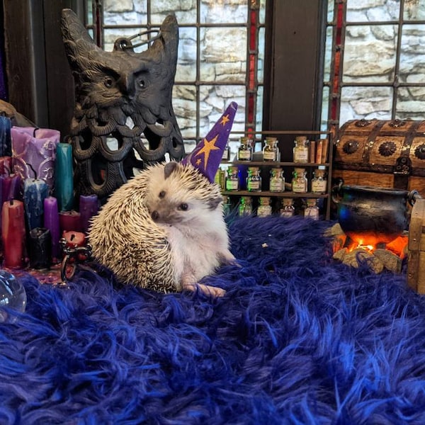 Pirate Wooden Treasure Chest With Antique Iron Lock and Skeleton Key ...