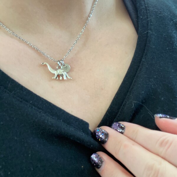 Silver Dinosaur Necklace Paleontologist Taphonomy Taphonomists ...