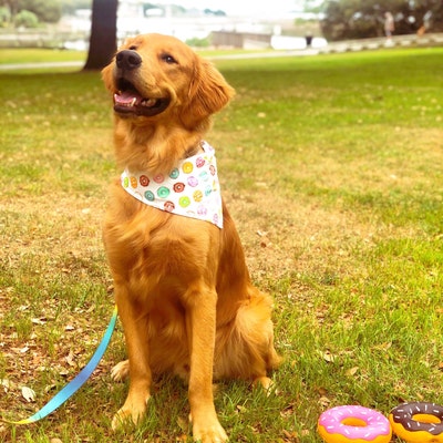 Handmade Snap-on Dog Bandana I Donut Do Mondays - Etsy