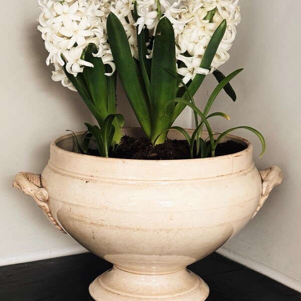 Antique Plain White Ironstone Compote - Fruit Bowl - Ironstone ...