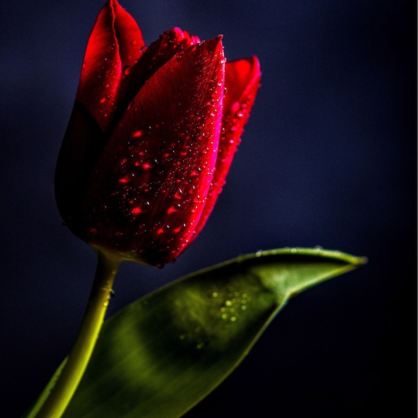 2 Qt Vintage Pyrex by Corning Round Covered Casserole Baking Dish 024 ...