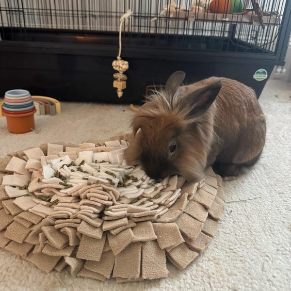 Original Heart Forager Snuffle Mat & Aesthetic Fleece Slow Feeder ...
