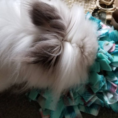 Seagrass Enrichmat™ Snuffle Mat Foraging & Enrichment Mat Well Kept ...