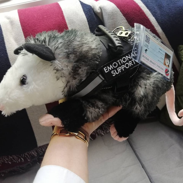 ESSA Opossum Possum Emotional Support Plush Stuffed Animal Personalized ...