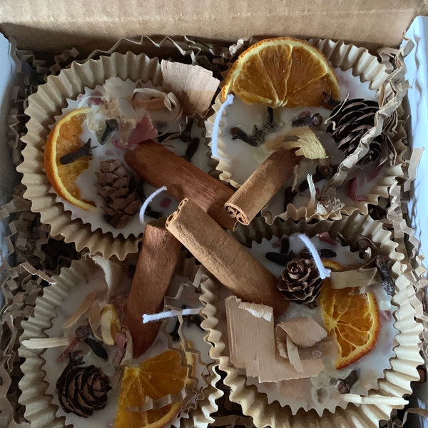 Fire Starters for Fire Pits & Log Fires - Floral and Herbal - Natural ...