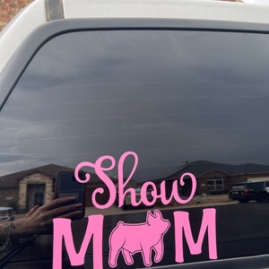 Show Rabbit Pen Sign Custom Rabbit Wood Livestock Show Sign - Etsy