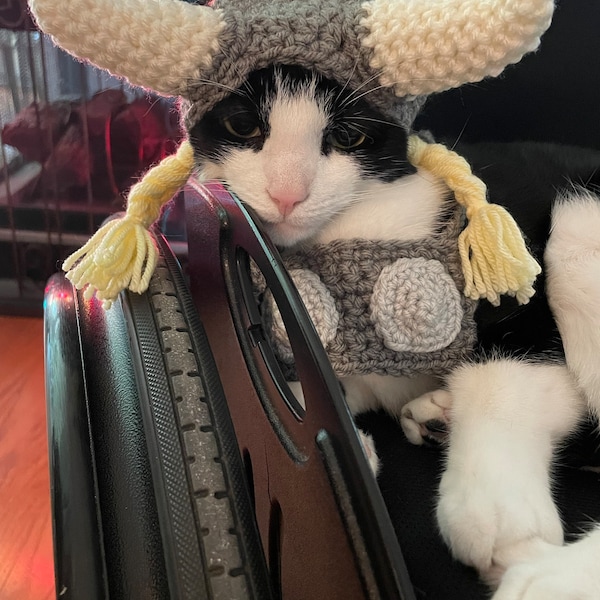 Brunhilde, Vikings, Valkyries, Wagner Opera, Hats for Cats, Pet Hats ...