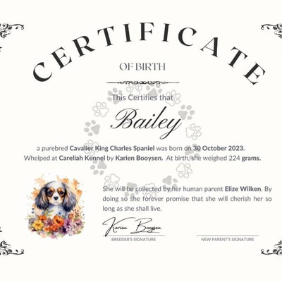 Dog Pedigree Chart, Printable Pedigree Certificate, Puppy Pedigree ...