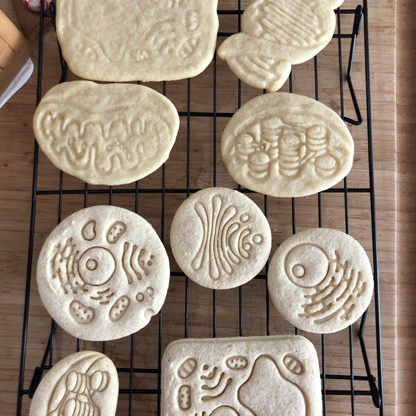 Plant Cell Cookie Cutter | Biscuit Cutters Gifts Botanist Botany ...
