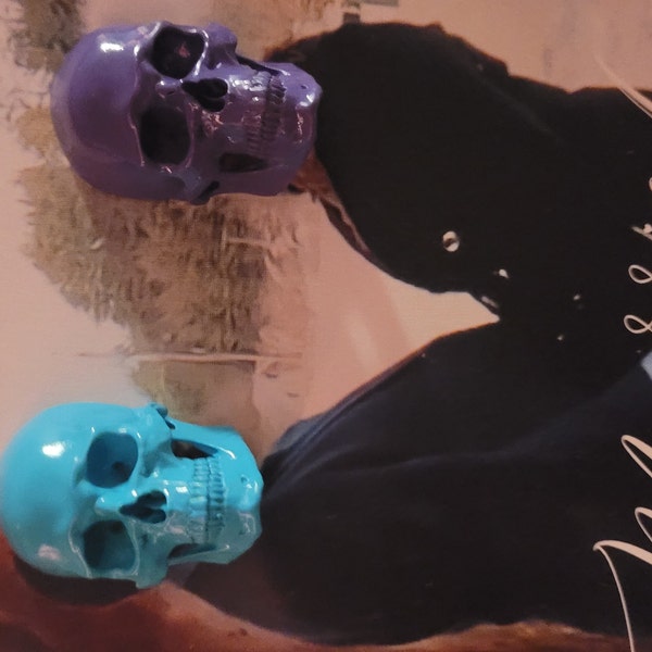 5 Piece Human Skull Magnets - Etsy