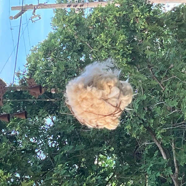 Fox Wire Farm Alpaca Teddy Bears pocket Size - Etsy