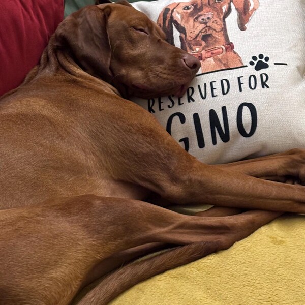 Happy Tin Years – 10th Anniversary Card: – Tin Anniversary Card - 10th ...