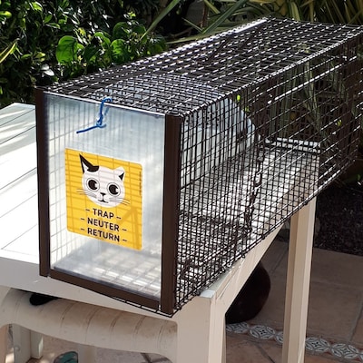 TNR Cat Tee Shirt Trap Neuter Return Grey Slim Fit - Etsy