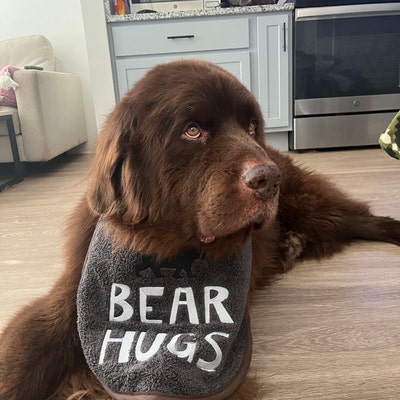 Puppy Bib puppy Drool Dog Bib Slobber Dog Bib small Dog - Etsy UK