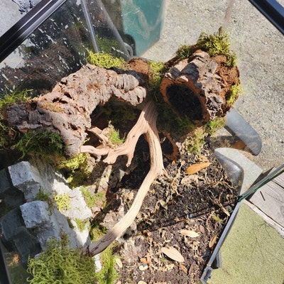 Dusk Moss Mix - Etsy