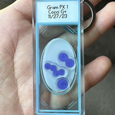 Phlebotomist Blood Tube Shaker Keychain,blood Cells Shaker Gift for ...