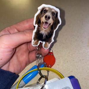 Baby Introduction Stickers Hello My Name Is...stickers - Etsy