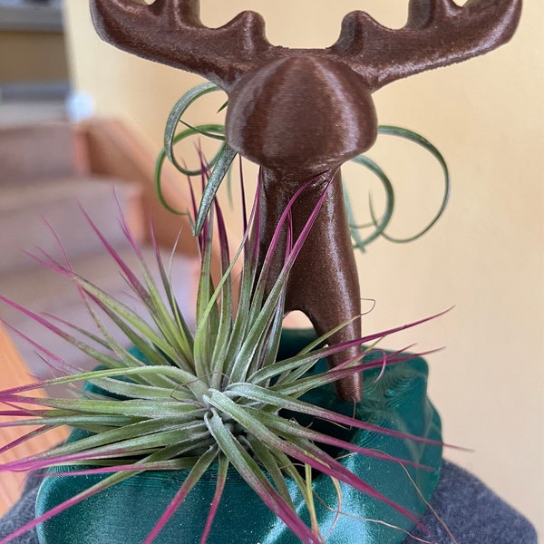 Moose Air Plant Holder and Succulent Planter, Cute Moose, Animal ...
