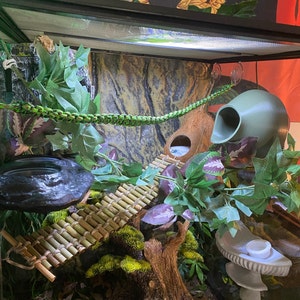 Paracord Vine - Etsy