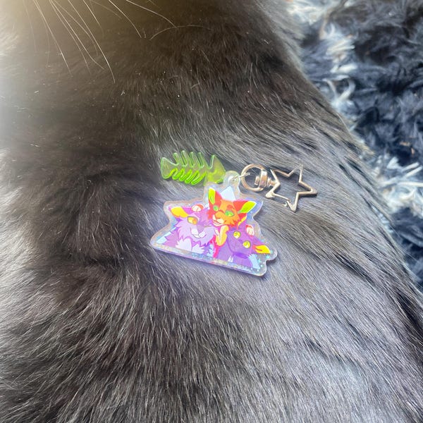 Firepaw, Graypaw, Ravenpaw Acrylic Charm Keychain - Etsy