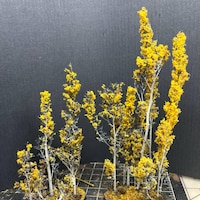 01 Miniature Ivy or Bush NATURAL Colored Medium Light Green Diorama ...