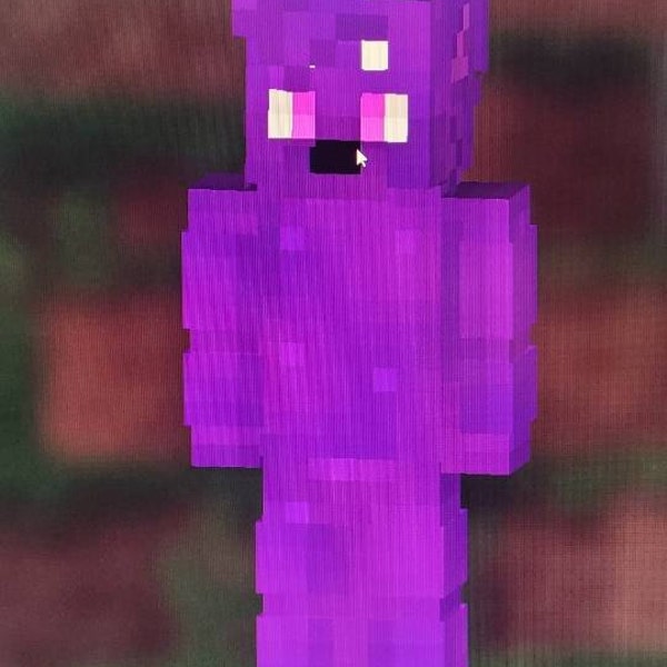 Custom Minecraft Skin - Etsy