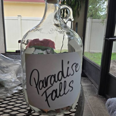 Paradise Falls Jar/ Jug From 'UP'. Gallon Sized Glass Jar With Paradise ...