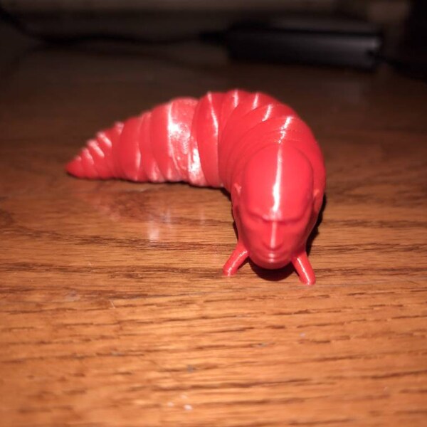 The Rock Fidget Slug - Etsy