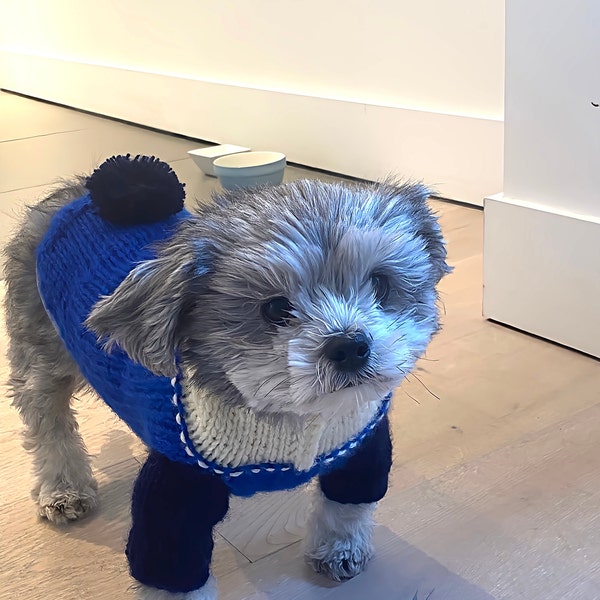 Handmade Woolly Dog Sweater With Pompoms for Small Dogs - Handknitted ...