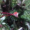 Robin Christmas Decoration, Robin Hanging Decoration, Robin Christmas ...