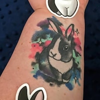 Peeking Head Tilt Bunny Decal Sticker Rabbit Car Sticker/ Laptop Decal ...