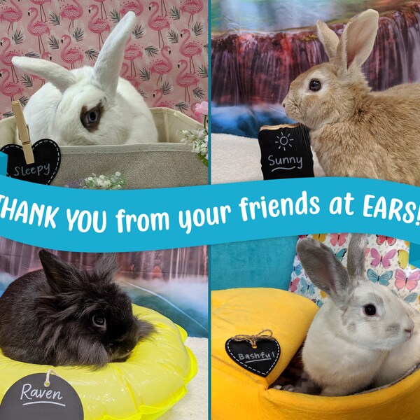 Rainbow Banners Clipart Set - Clip Art Set of Rainbow Banners, Rainbow ...