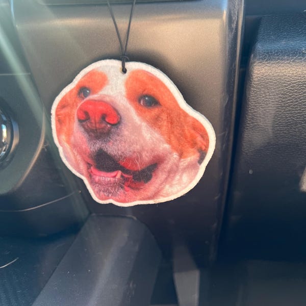 Funny Air Freshener Flaming Eye Freshener Cute Air Freshener Cool Air ...