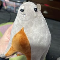 Elephant Shrew Stuffed Toy - Native African Animal Shrew Plush - Sengi ...