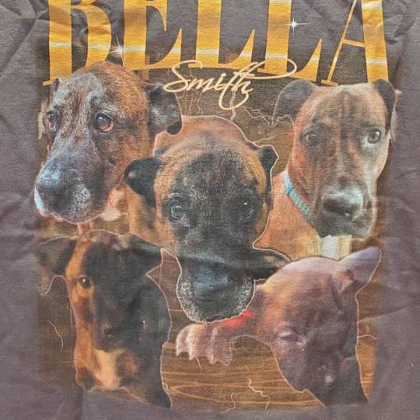 ROBIN SCHERBATSKY Shirt, Robin Scherbatsky Homage T-shirt, How I Met ...