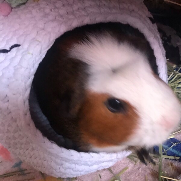 Guinea Pig Pink Carrier With Flowers. Small Pet Soft Cozy Carrier. - Etsy