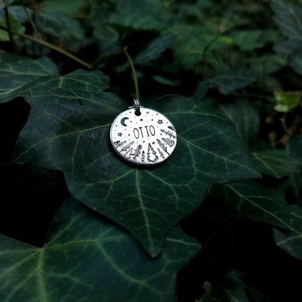 Nora A Handwritten Script Font TTF / OTF - Etsy