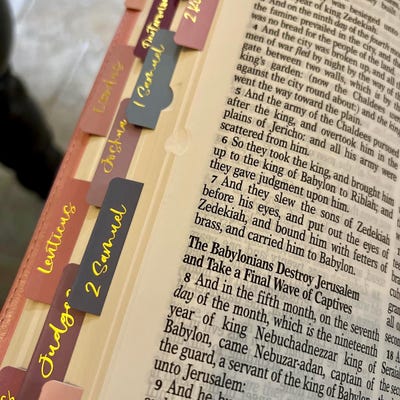 Gorgeous White KJV Holy Bible With Acrylic Display Case With Silver ...