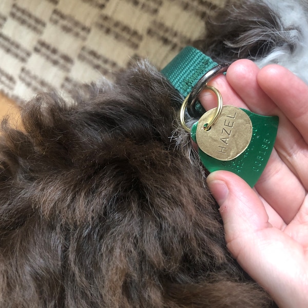 ROCCO: Hand Stamped Personalized Custom Pet ID Tags for Dogs and Cats ...