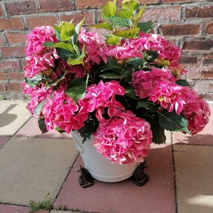 Peter Rabbit Pot Buddy Pot Hanger Beatrix Potter Gift - Etsy