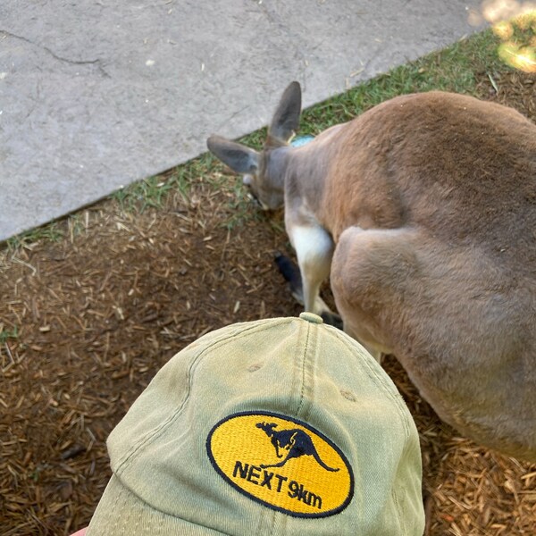Vintage 90’s Landmark Halliburton Strapback Hat by Romco - Etsy