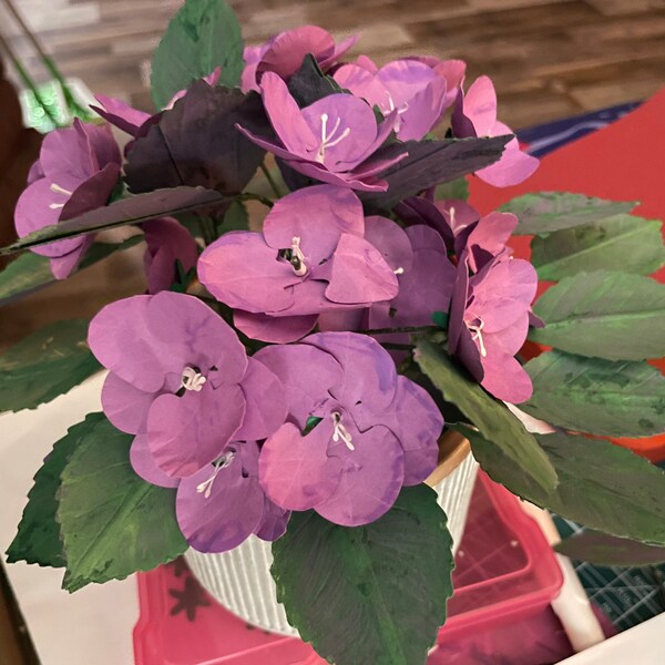 African Violet Paper Flower Templates: DIY 3D Crafts (instant Download ...