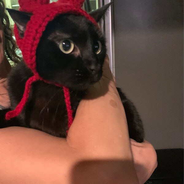 Devil Cat Hat, Devil Pet Costume, Devil Horns for Cats, Devil Costume ...