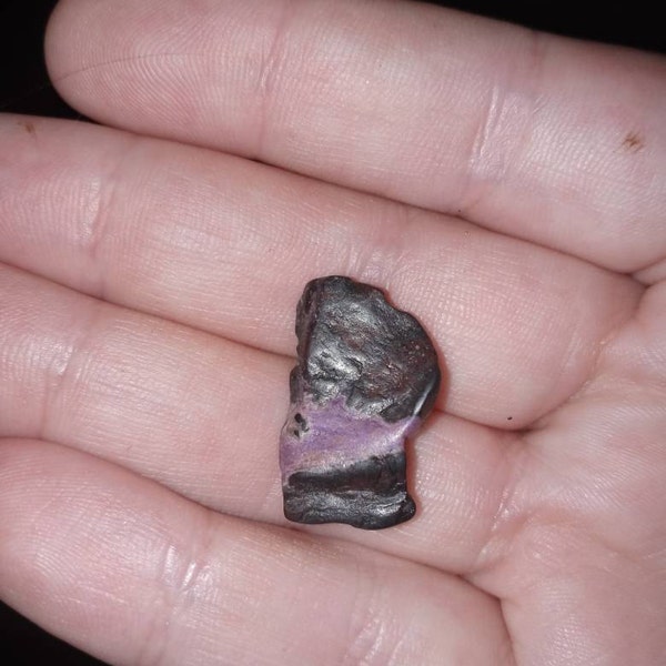 Dinosaur Fossil Tooth Pendant Mosasaurus Tooth Pendant Fossil Tooth ...