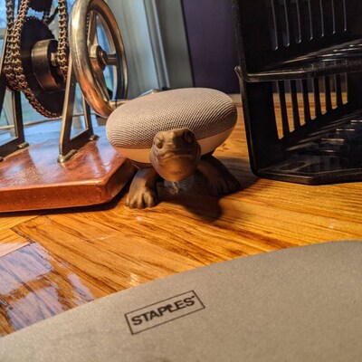 Tortoise / Turtle Holder for Google Home Mini / Nest Stand - Etsy