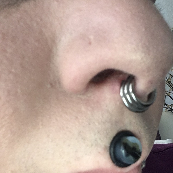 TITANIUM Triple Septum Ring Hinged Clicker. 18g, 16g or 14g Many ...