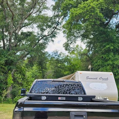 Fits 2021-2024 Ford Bronco Sport Skeleton With Roses 3rd Quarter Window ...